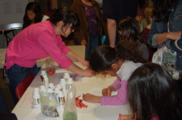 Green Elementary School Science Fair Inspires Student Scientists ...