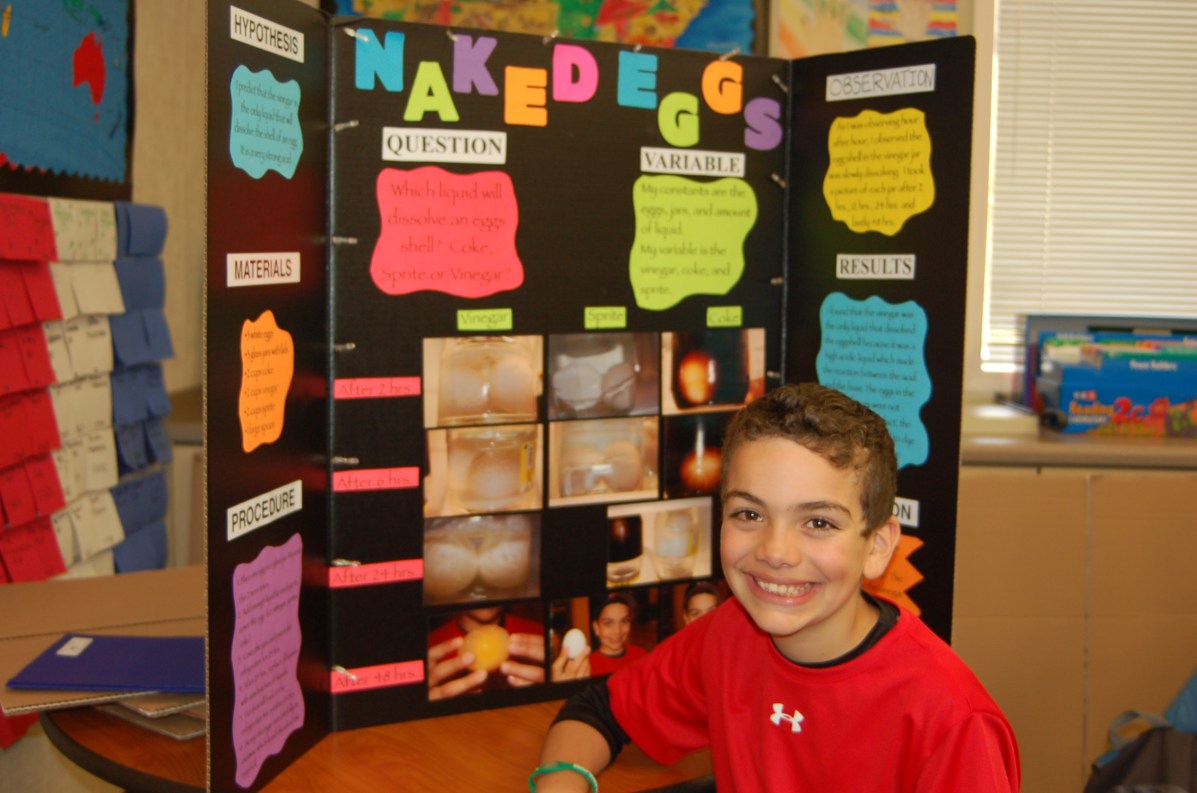 Green Elementary School Science Fair Inspires Student Scientists ...