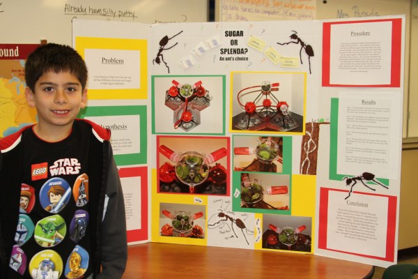 Green Elementary School Science Fair Inspires Student Scientists ...